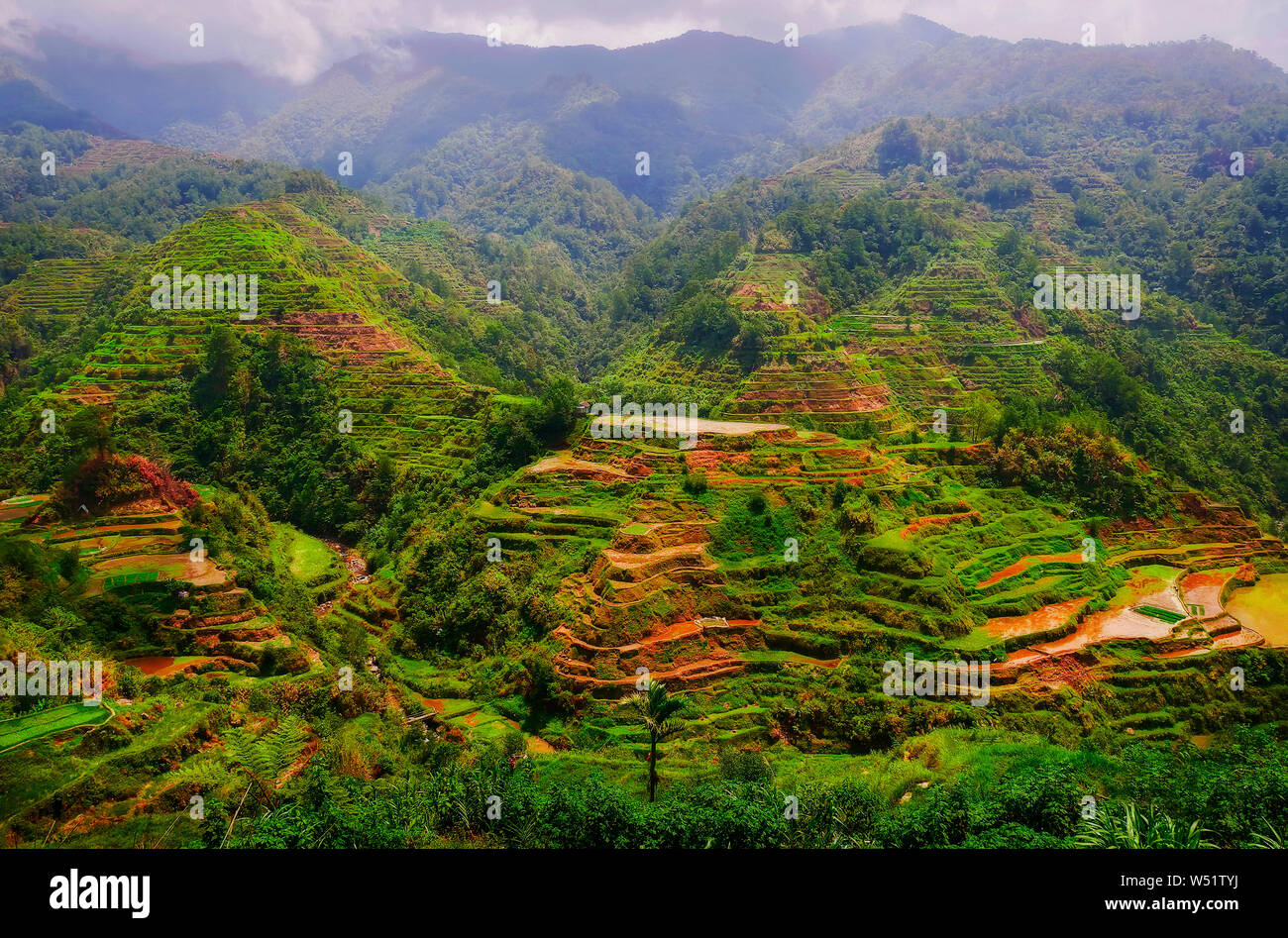 The Rice Terraces in Banaue, Ifugao, Philippines Stock Photo - Alamy