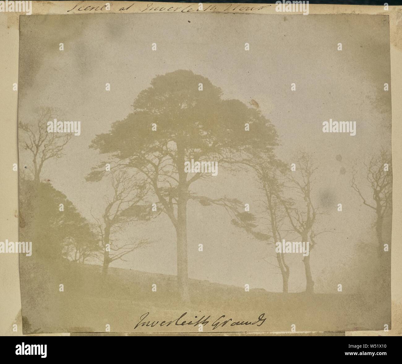 Inverleith Grounds., Attributed to Robert Adamson (Scottish, 1821 ...