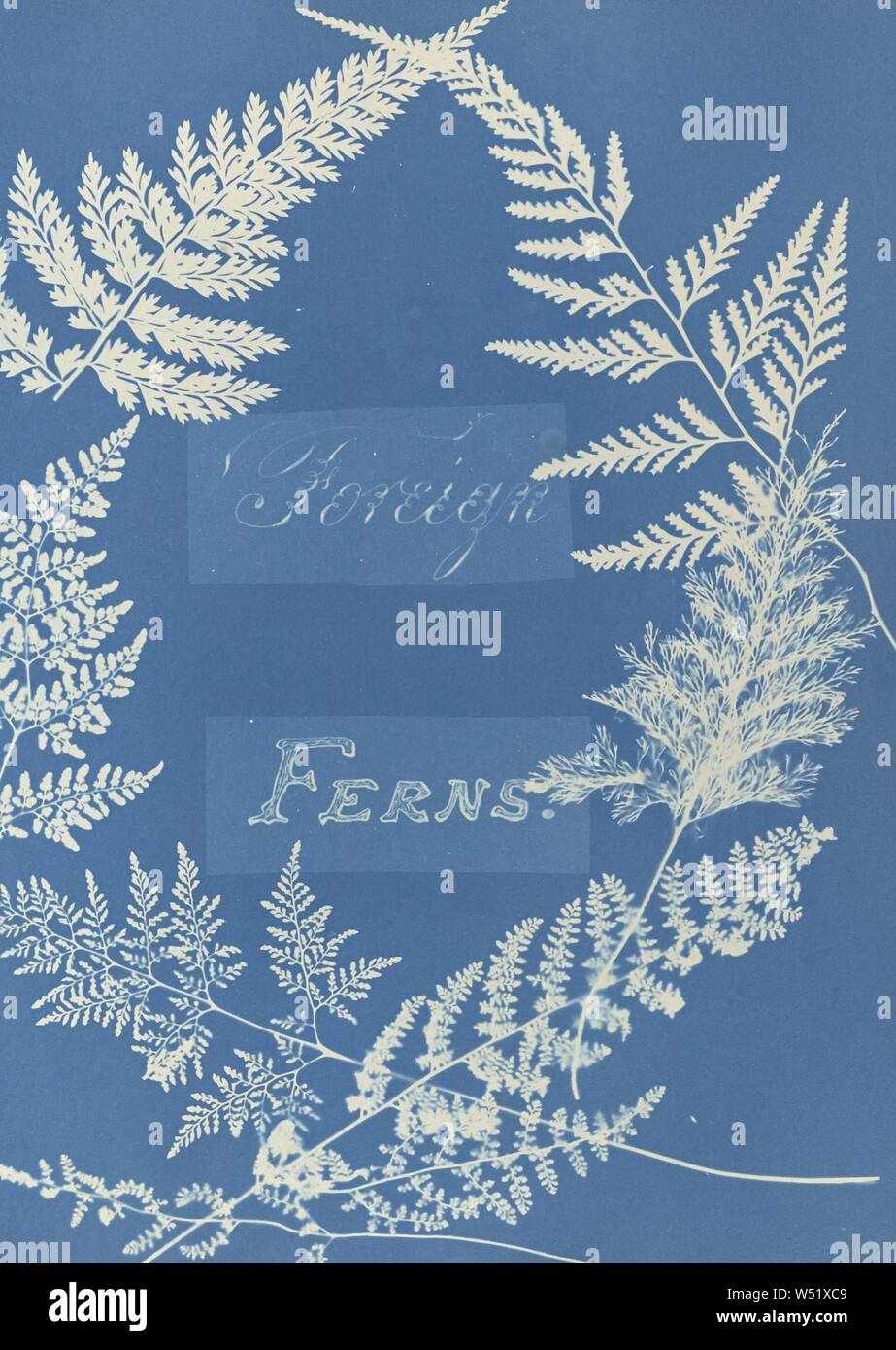 Anne atkins hi-res stock photography and images - Alamy