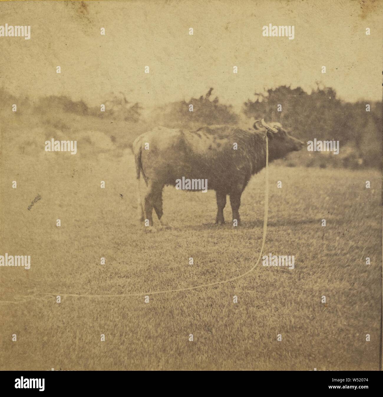 Edward cave hi-res stock photography and images - Alamy