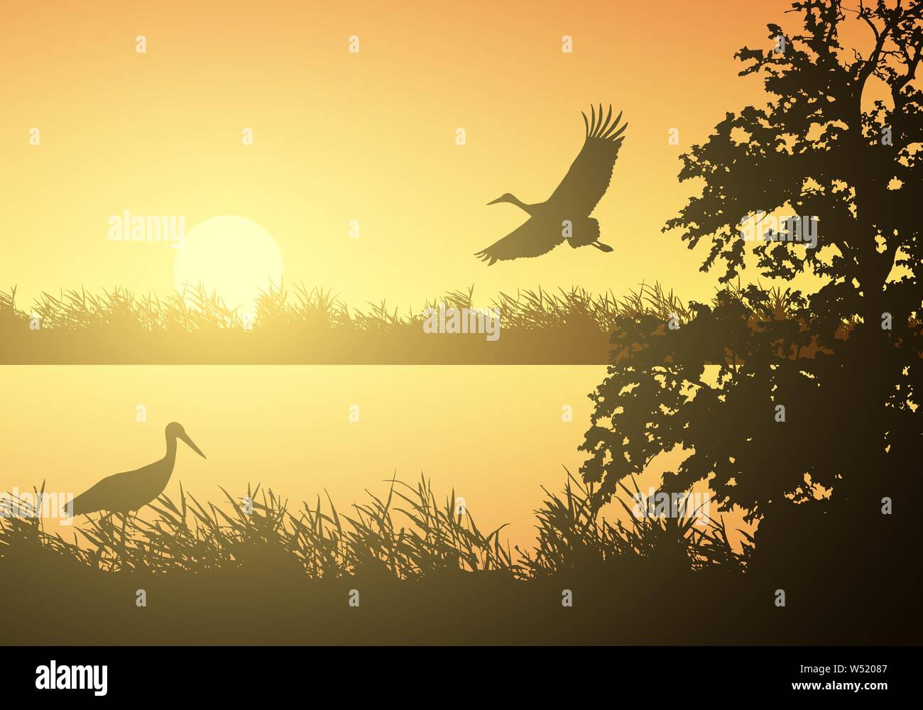 Storks meadow Stock Vector Images - Alamy
