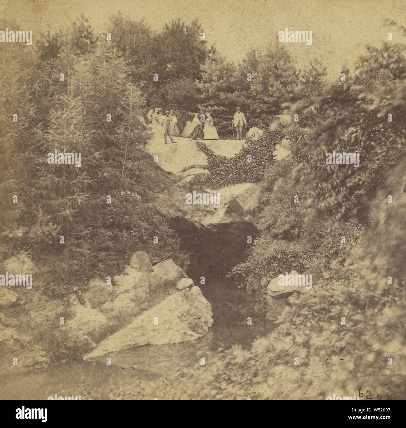 Central Park, New York. The Cave., Edward and Henry T. Anthony & Co ...