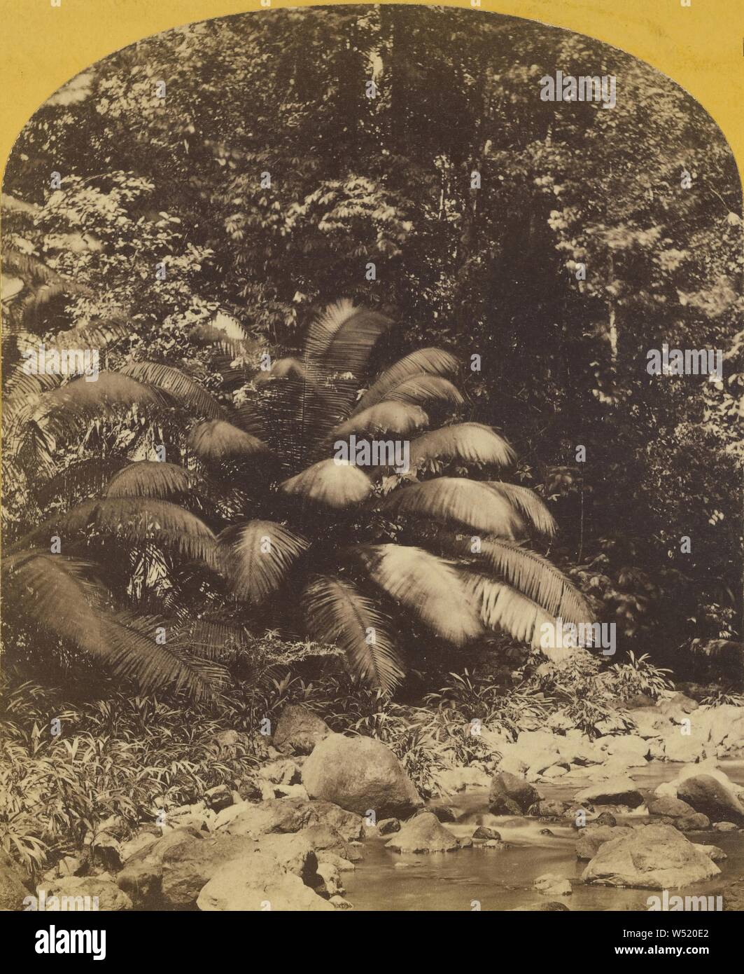 1870 timothy h osullivan 1840 1882 hi-res stock photography and images ...