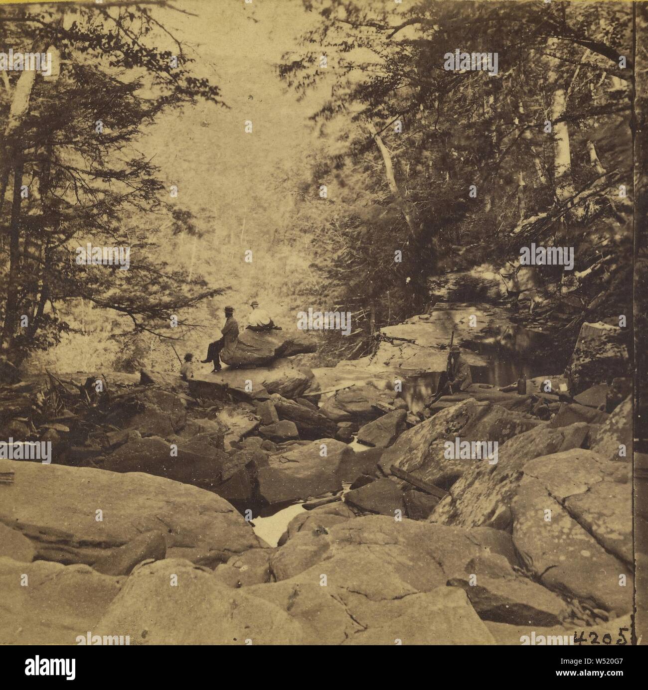 The Glens of the Catskills. View from the top of the Five Cascades ...