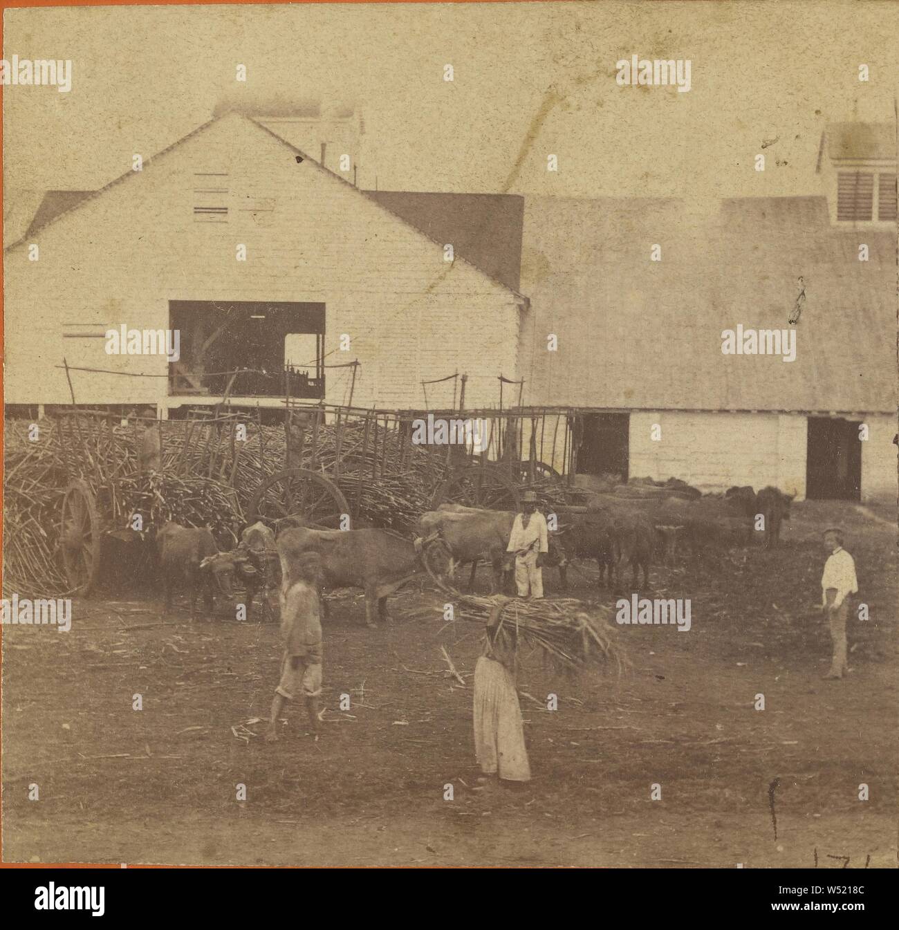 Unloading cattle hi-res stock photography and images - Alamy