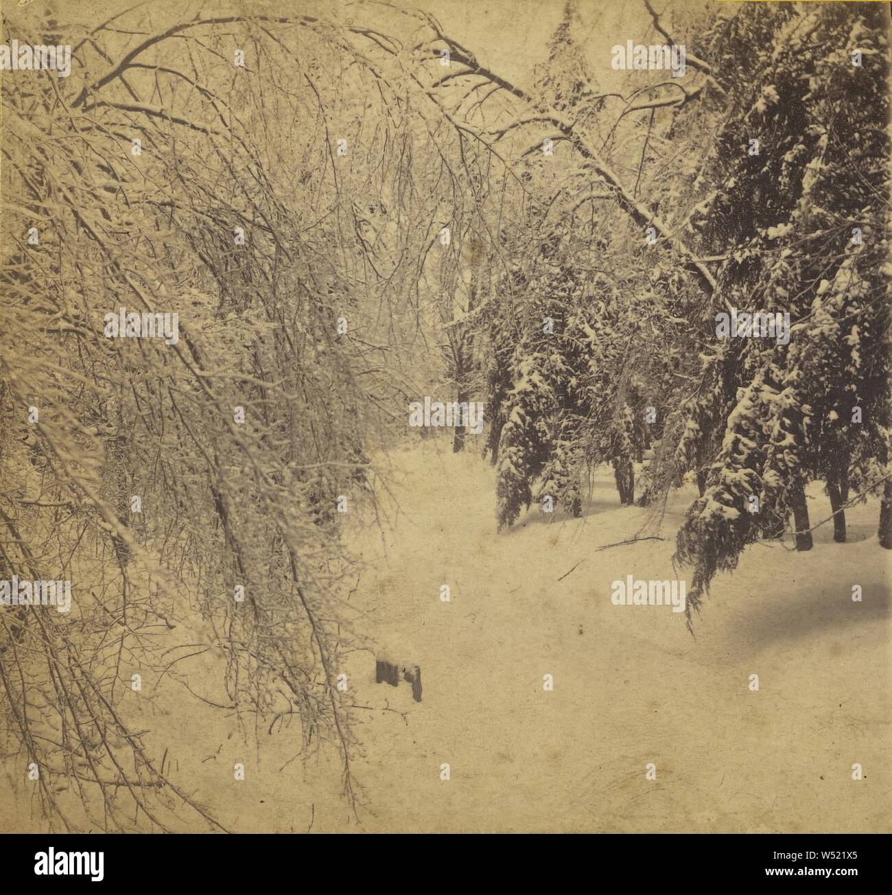 Winter in the Catskills. Ice and snow, Edward and Henry T. Anthony & Co ...