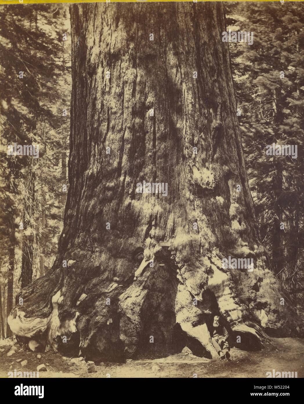 Giant mammoth hi-res stock photography and images - Alamy