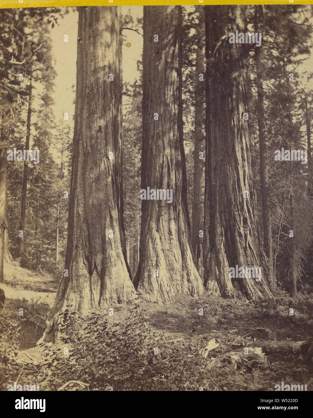 25 ft diameter hi-res stock photography and images - Alamy