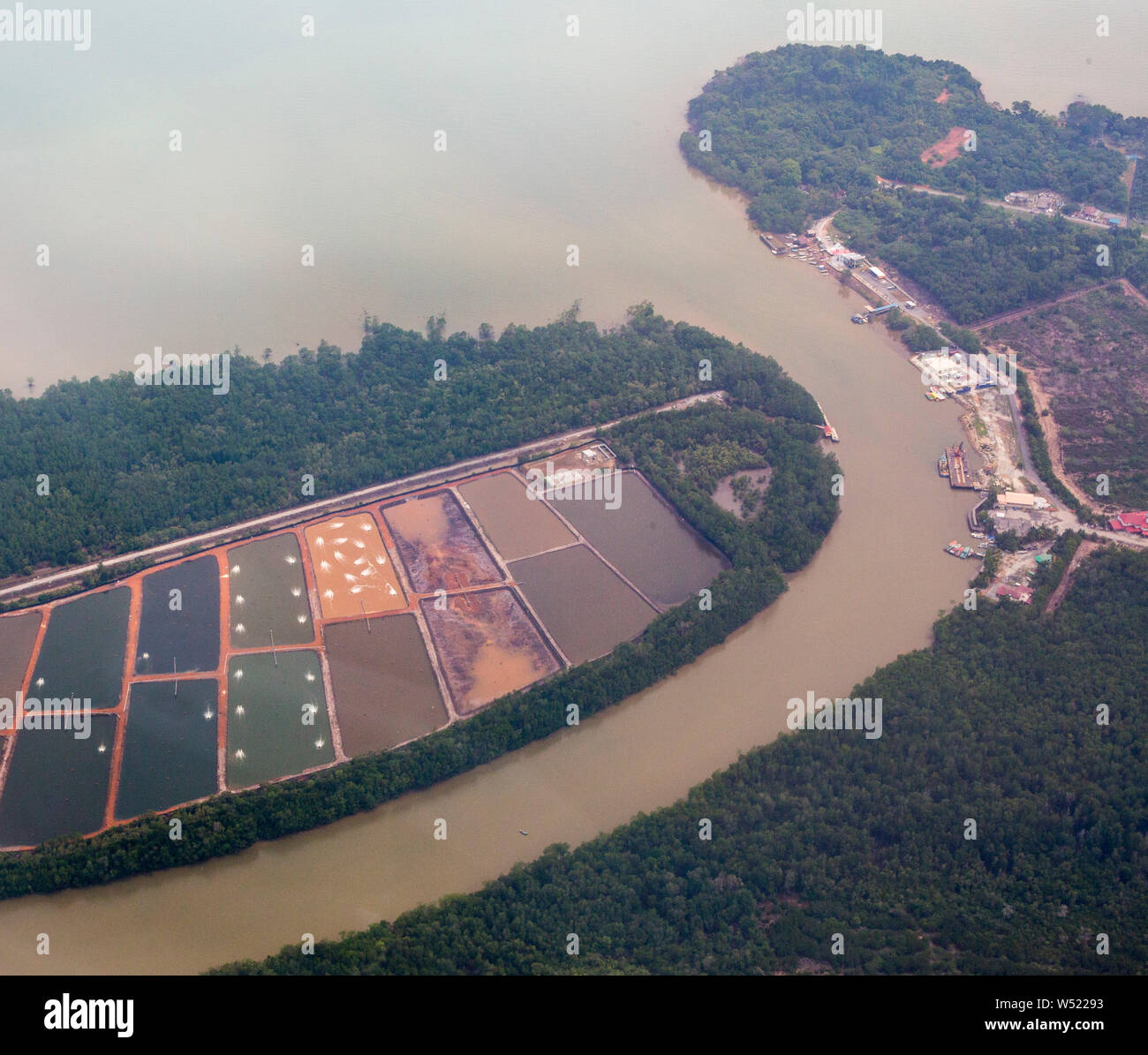 Shrimp farm hi-res stock photography and images - Alamy