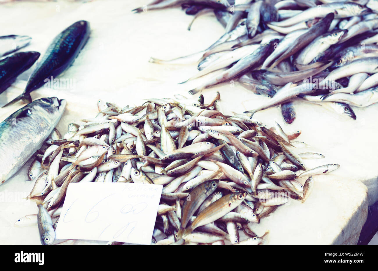 Fresh fish for sale in the fish market Pescheria of Catania, Sicily ...