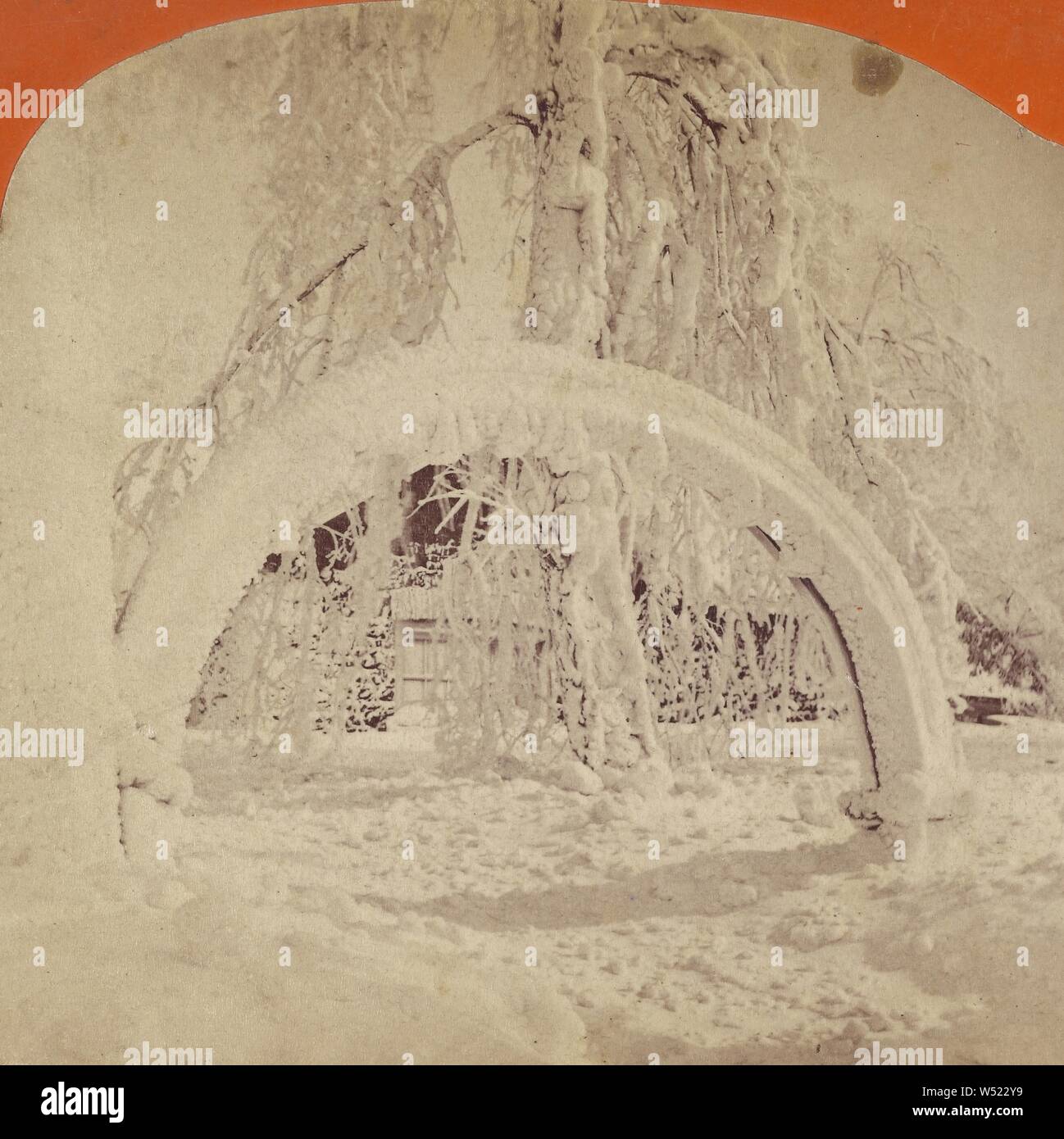 Niagara - Rainbow Arch Prospect Park - Winter, George Barker (American ...