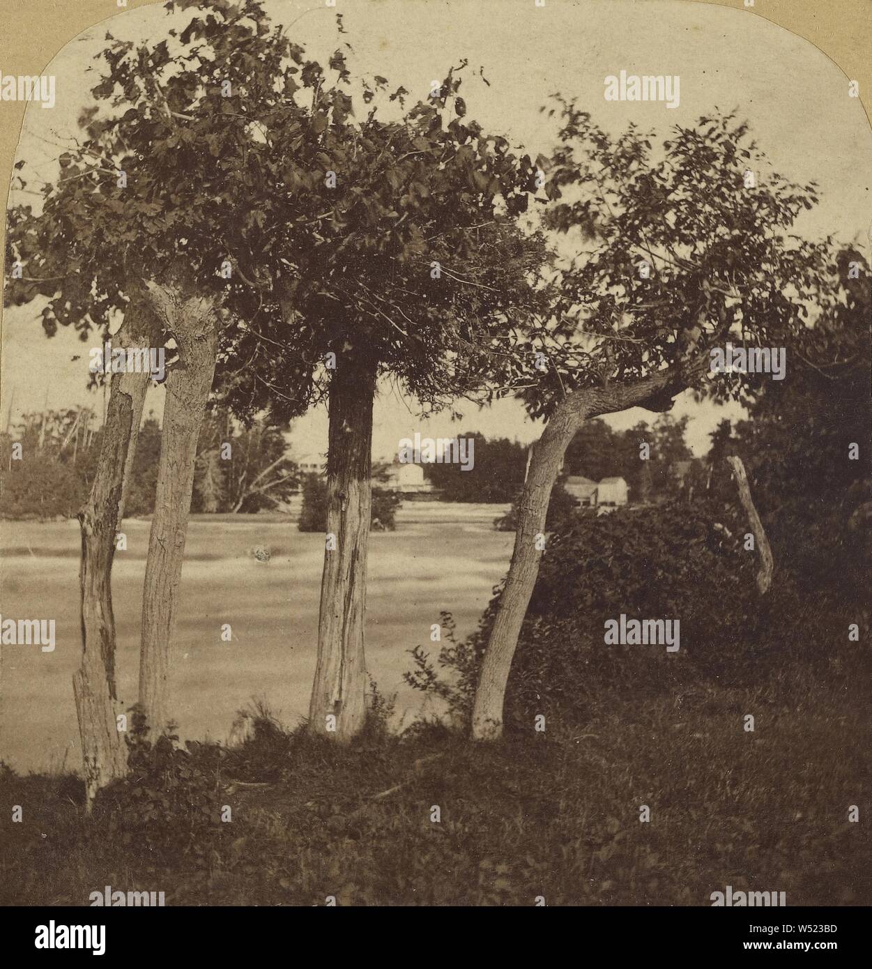 Luna Island, Niagara, Deloss Barnum (American, 1825 - 1873), about 1860 ...