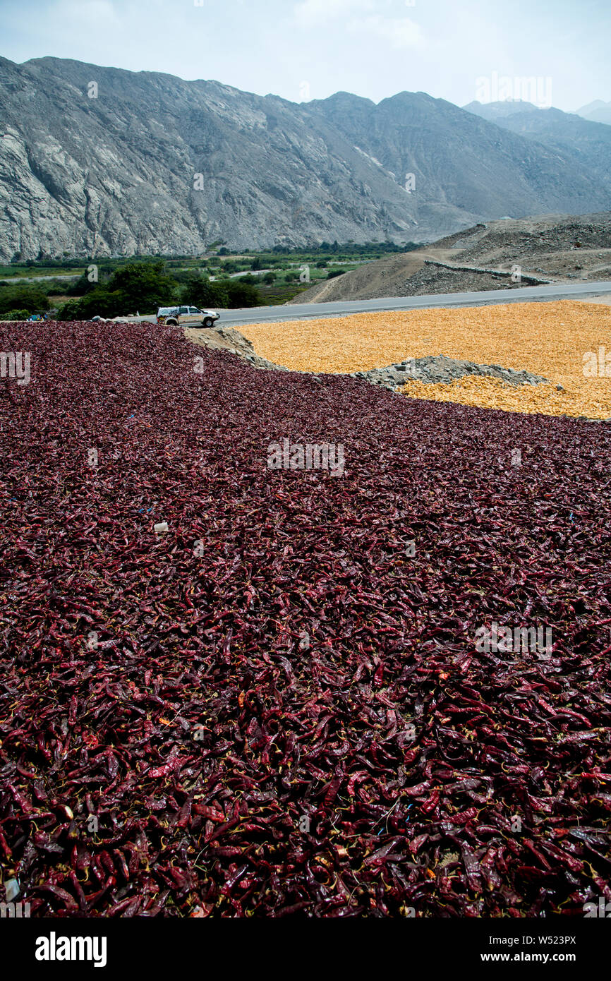 Chimoya Fruit Stall,Chimoya Fruit,Sweet Tasting,Unusual,Chiquian ...
