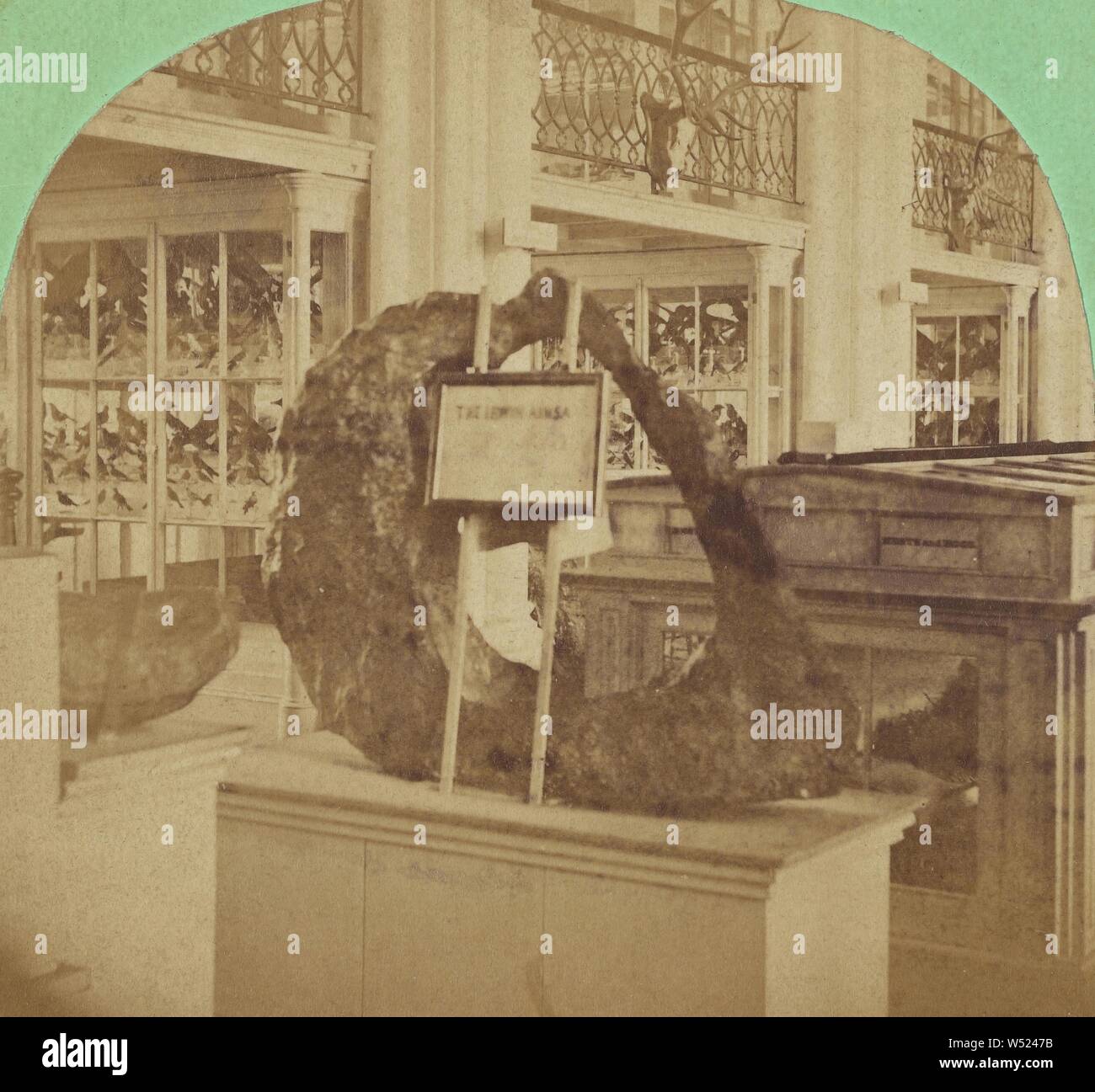 View of the Interior of the Smithsonian Institution., Bell & Brother ...