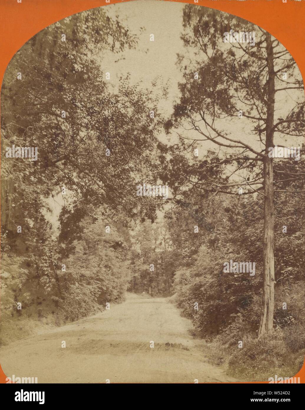 Drive to Strawberry Mansion., William H. Rau (American, 1855 - 1920 ...
