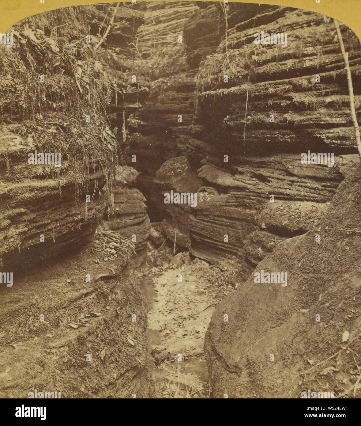 Cold Water Canon, towards the Jug, from above. Wisconsin Dells, Henry ...