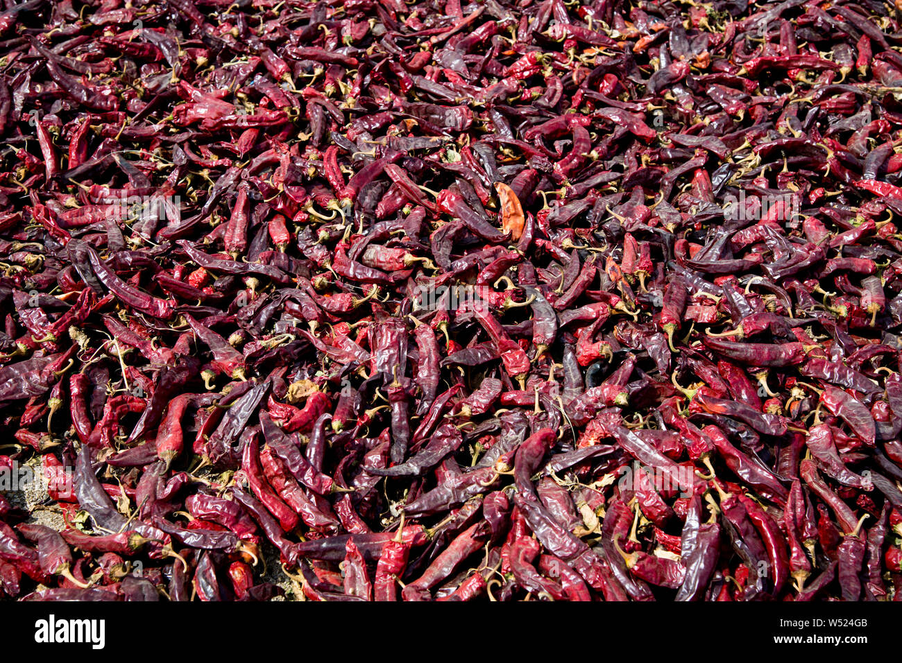 Chimoya Fruit Stall,Chimoya Fruit,Sweet Tasting,Unusual,Chiquian ...