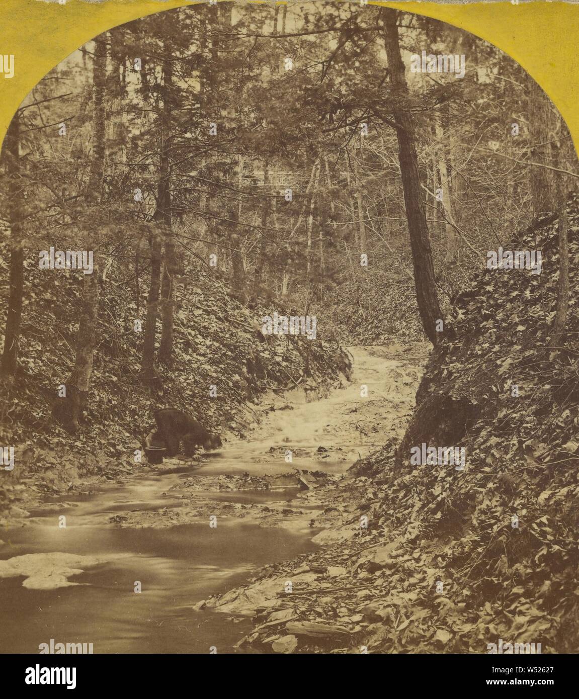 The Ravine below Coming Bridge, Churchill & Denison, 1860s, Albumen ...