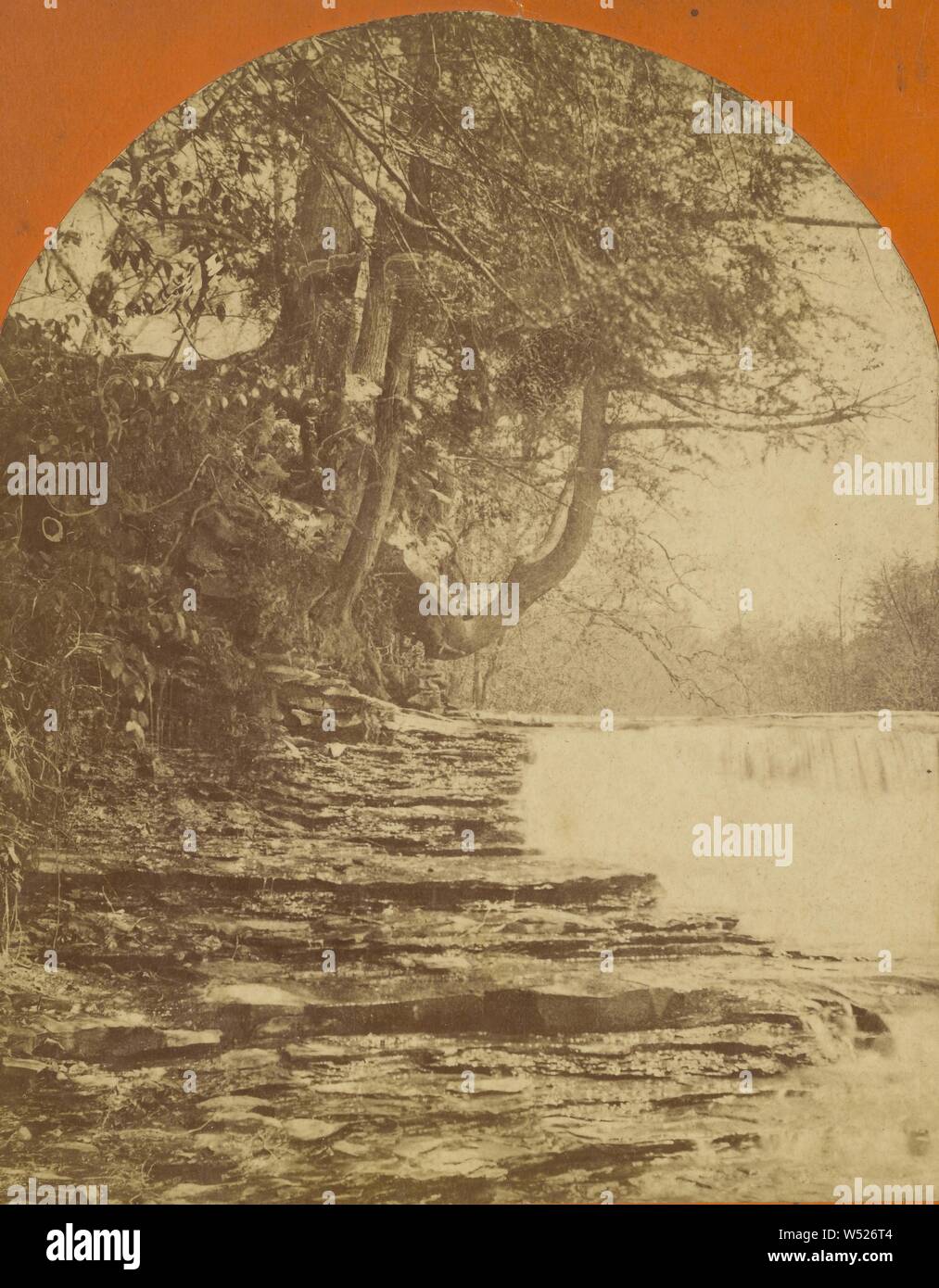 Overhanging river bank hi-res stock photography and images - Alamy