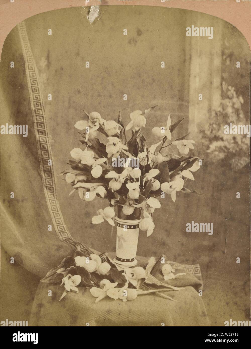 Vase of flowers, Finley & Sons, 1870s, Albumen silver print Stock Photo ...