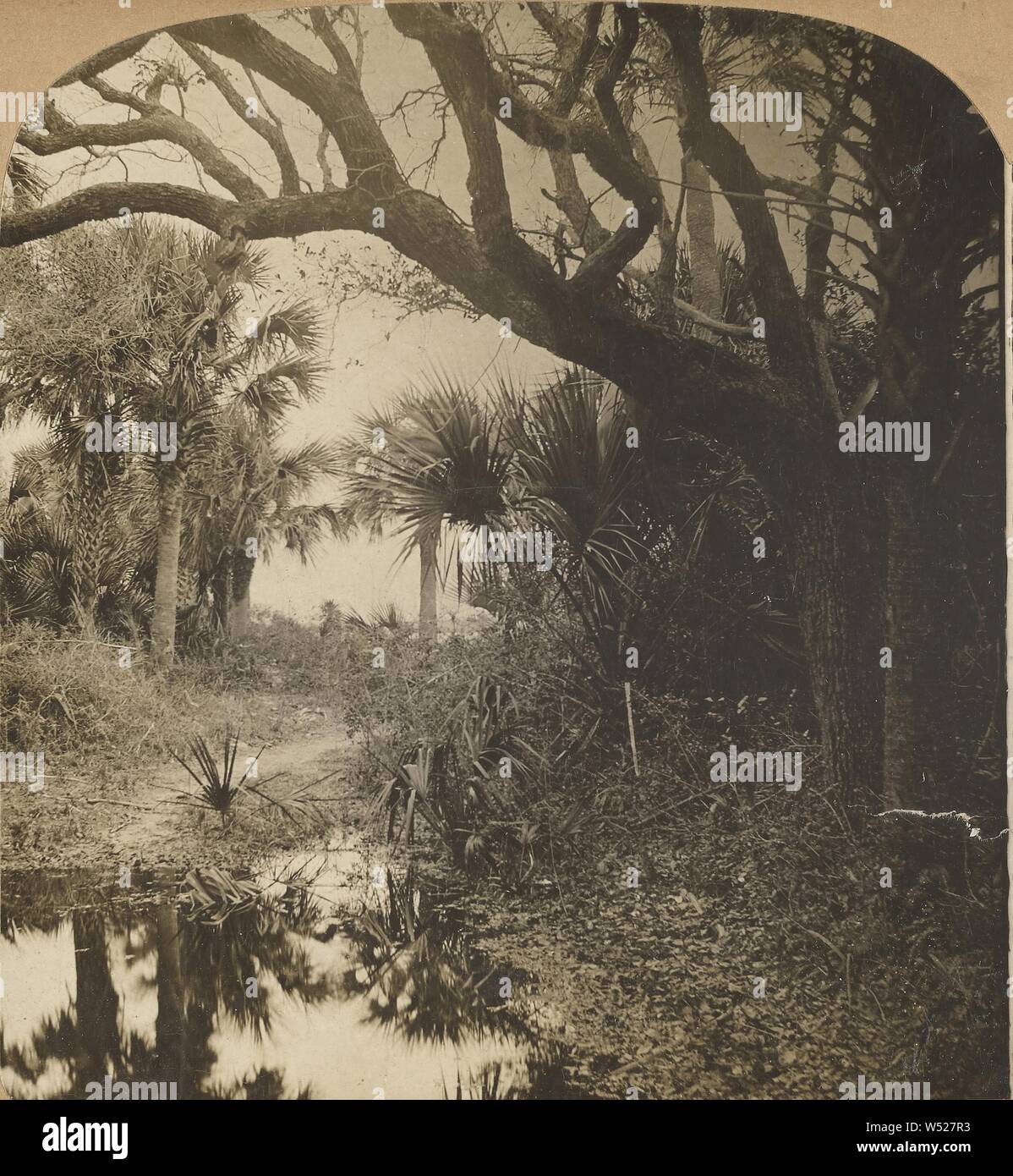 George barker florida hi-res stock photography and images - Alamy