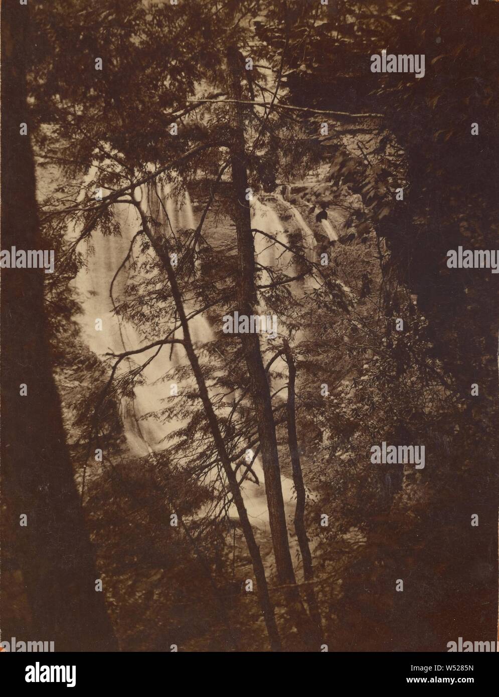 Silver pike hi-res stock photography and images - Alamy