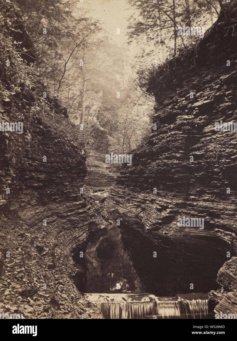 Still-water Gorge, Watkins Glen, N.Y., James Douglas Hope (American ...