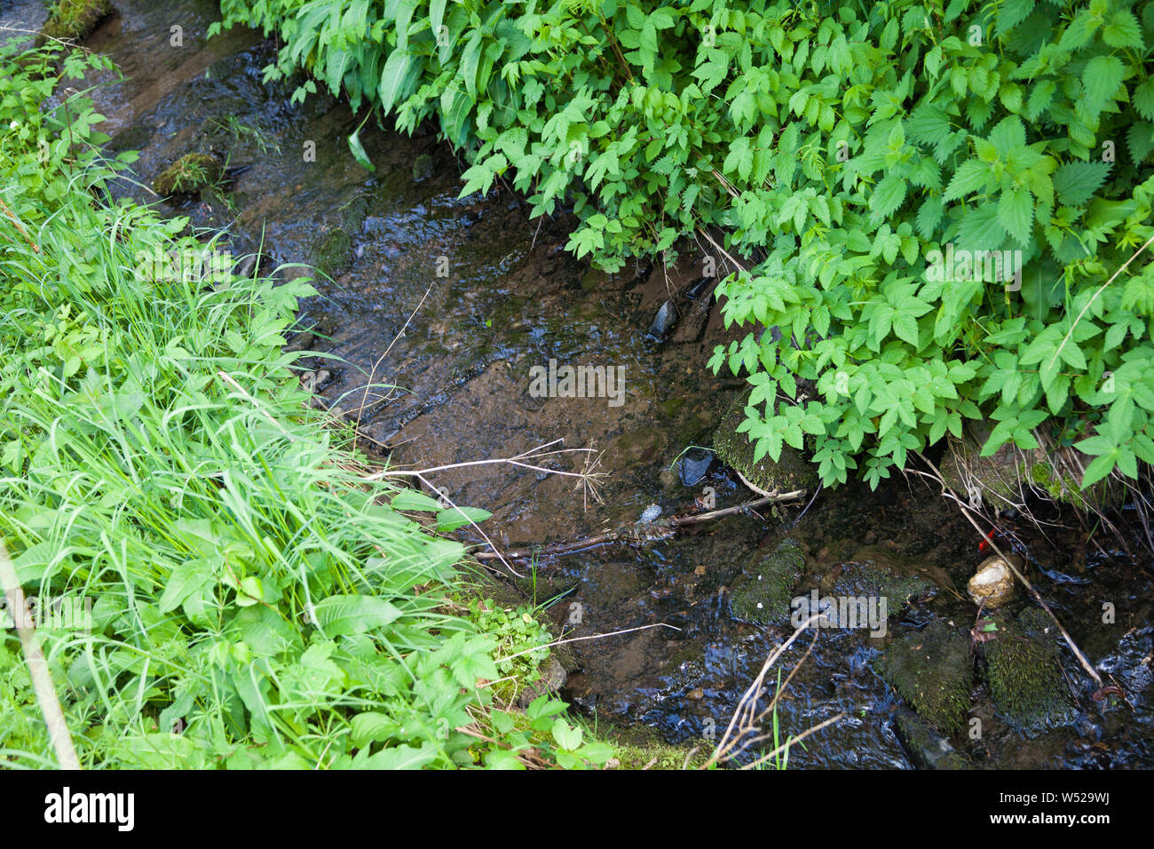 Wipper hi-res stock photography and images - Alamy