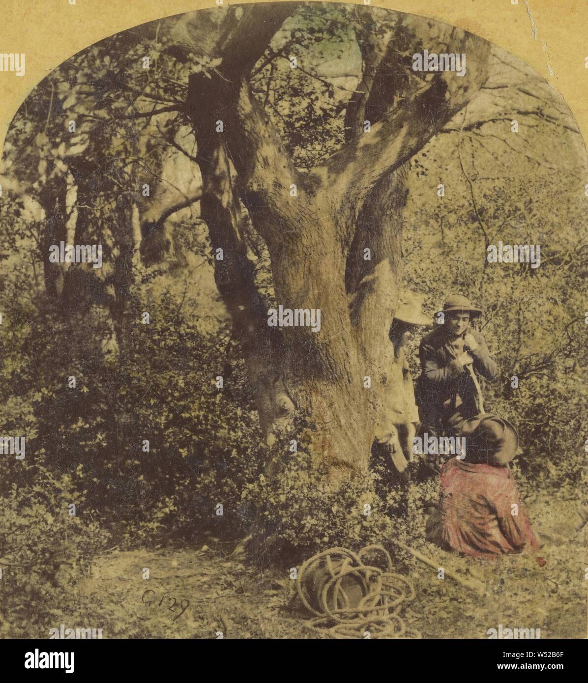 Bold peasantry hi-res stock photography and images - Alamy