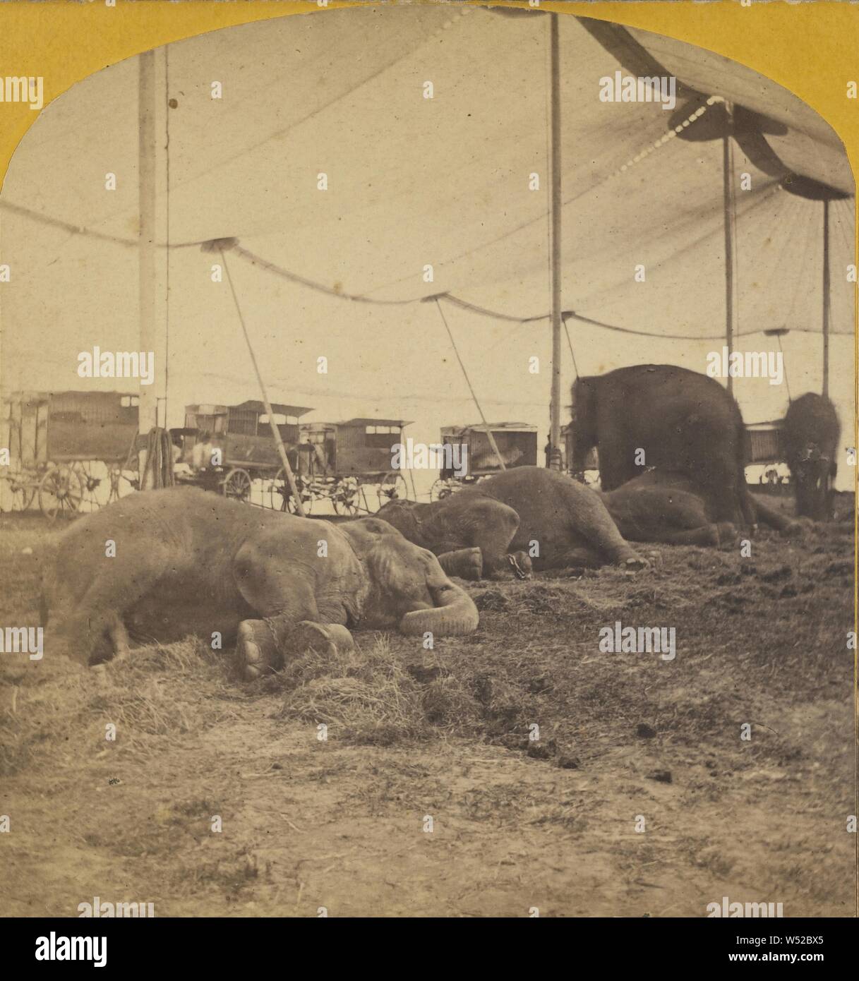 Nathaniel morgan hi-res stock photography and images - Alamy