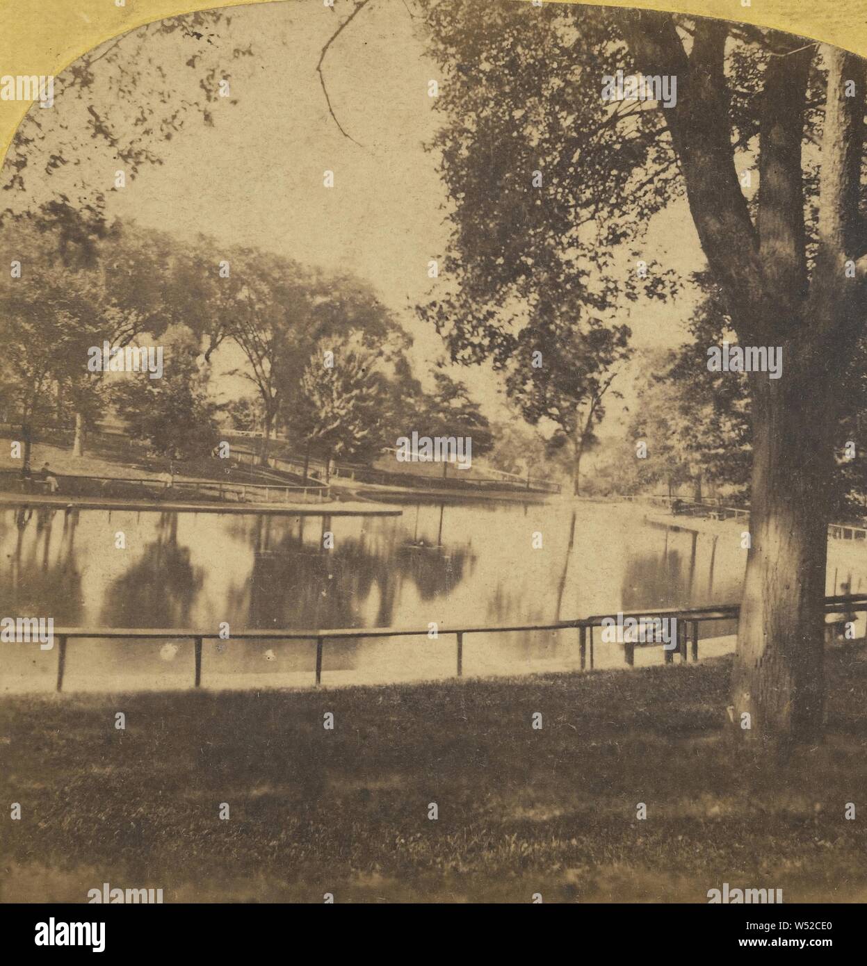 Silver frog hi-res stock photography and images - Alamy