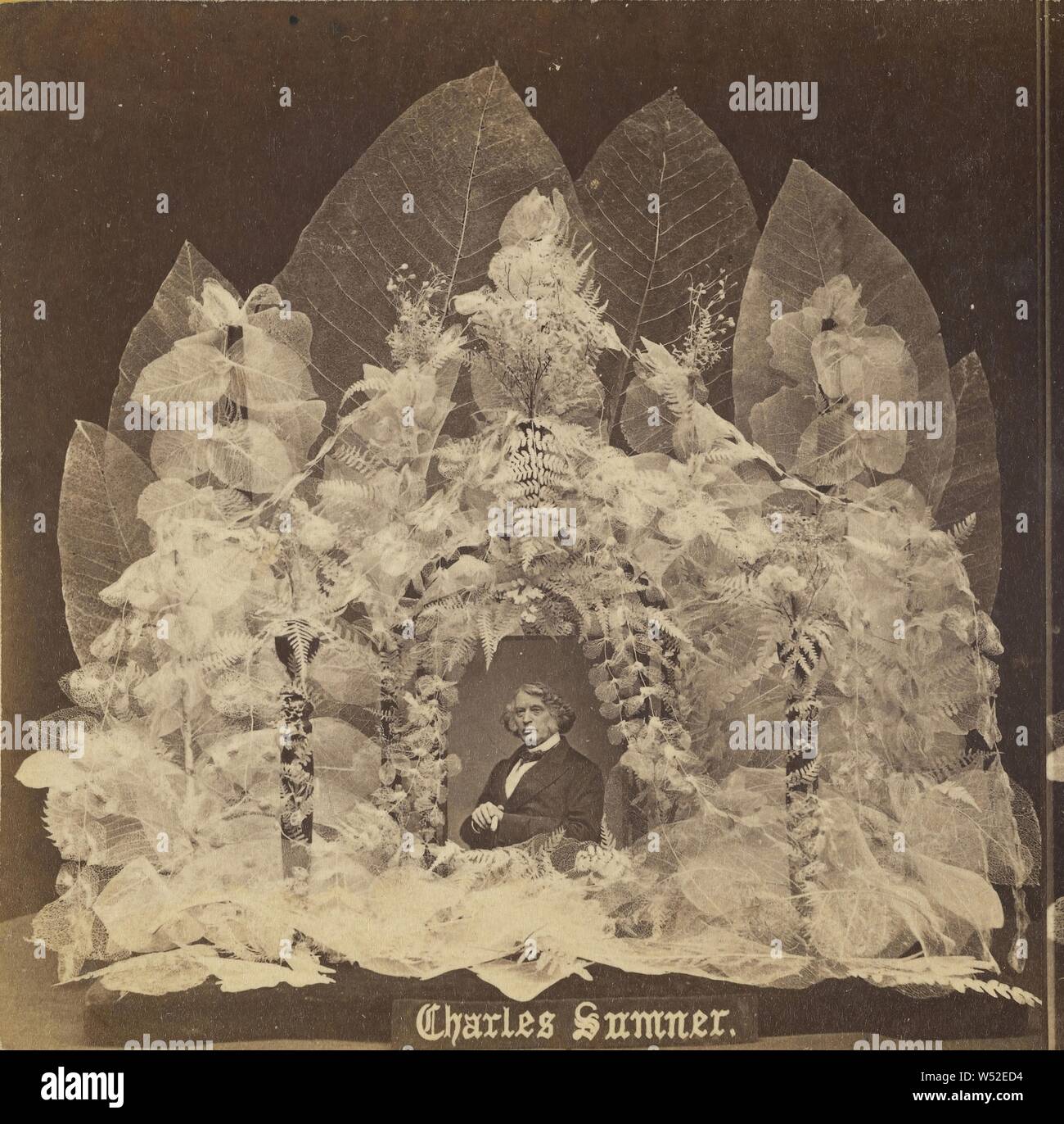 John Sumner High Resolution Stock Photography and Images - Alamy