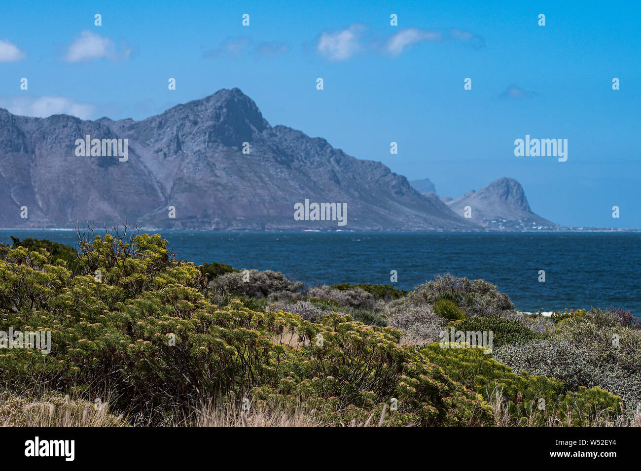 The beautiful view of Pringle Bay, South Africa Stock Photo - Alamy