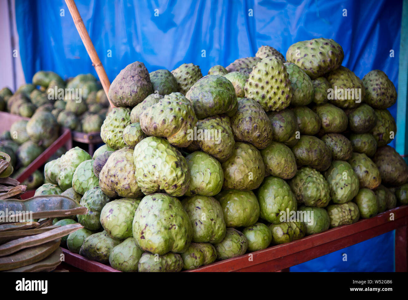 Chimoya Fruit Stall,Chimoya Fruit,Sweet Tasting,Unusual,Chiquian ...