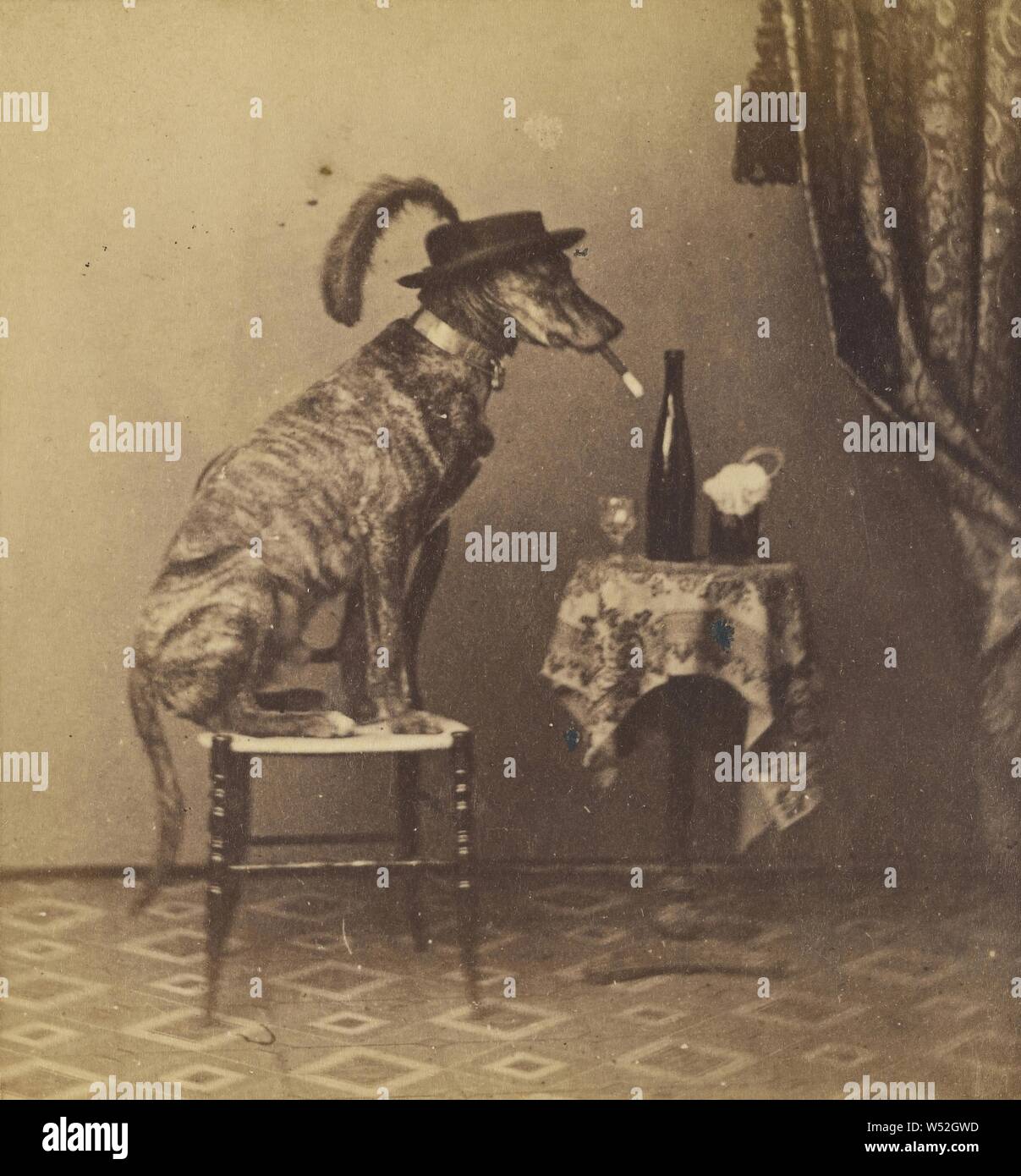 The jolly dog/Dog seated on stool, wearing hat, smoking cigar ...