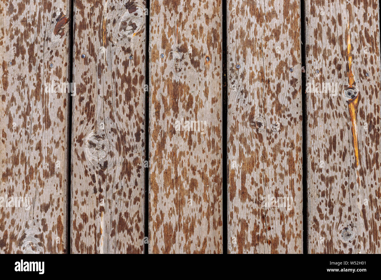 Wooden texture, natural wood pattern Stock Photo - Alamy