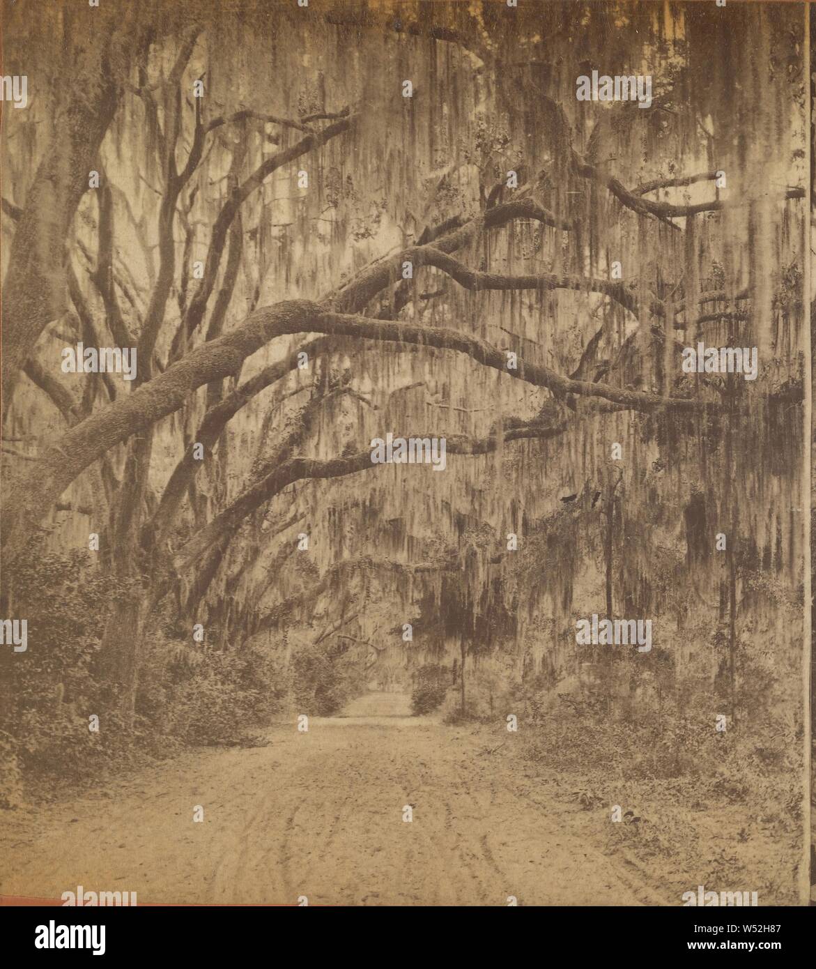 Bonaventure, Savannah, Georgia, Jerome Nelson Wilson (American, 1827 ...