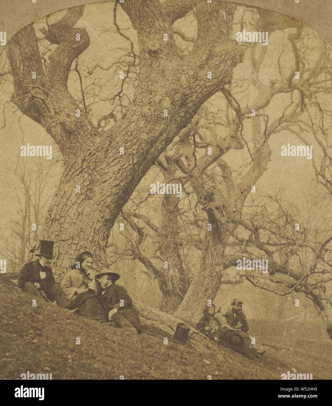 Three under two separate trees hi-res stock photography and images - Alamy