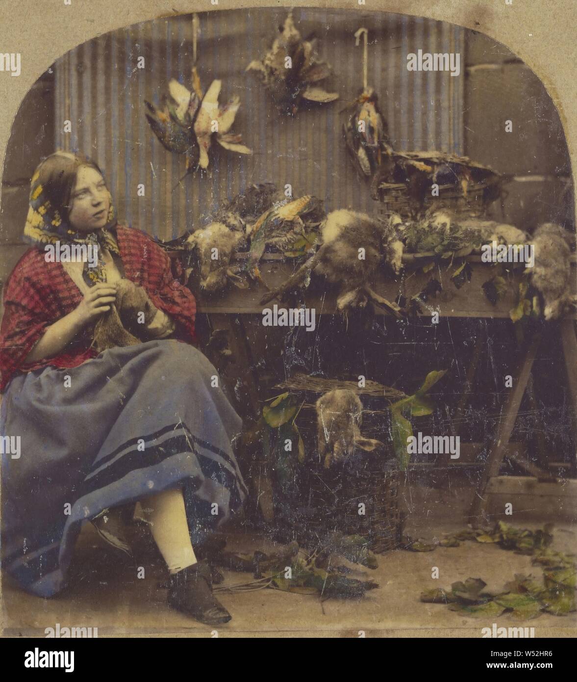 Dead rabbits hi-res stock photography and images - Alamy