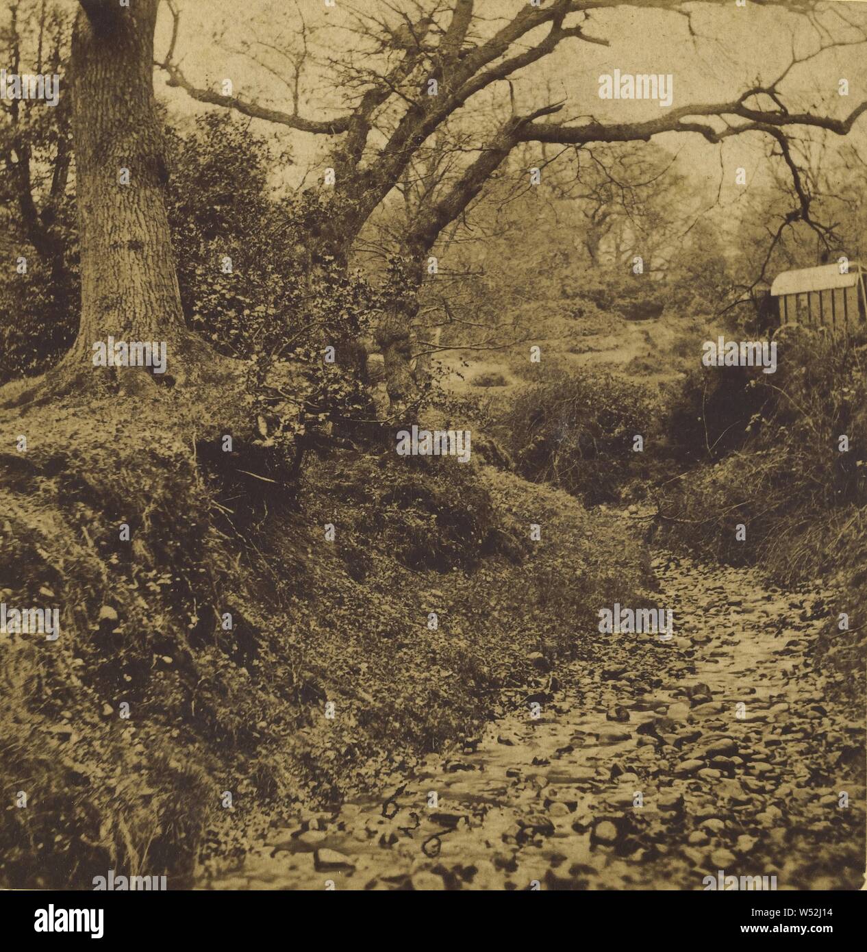 Trickling brook hi-res stock photography and images - Alamy