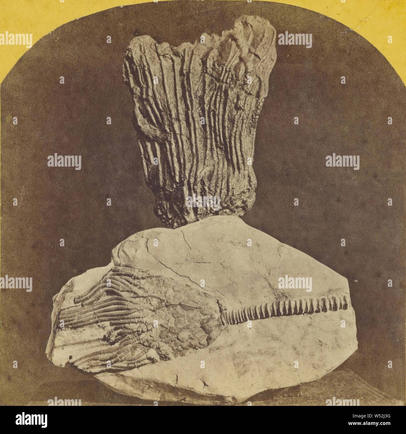 Much wenlock limestone formation hi-res stock photography and images ...