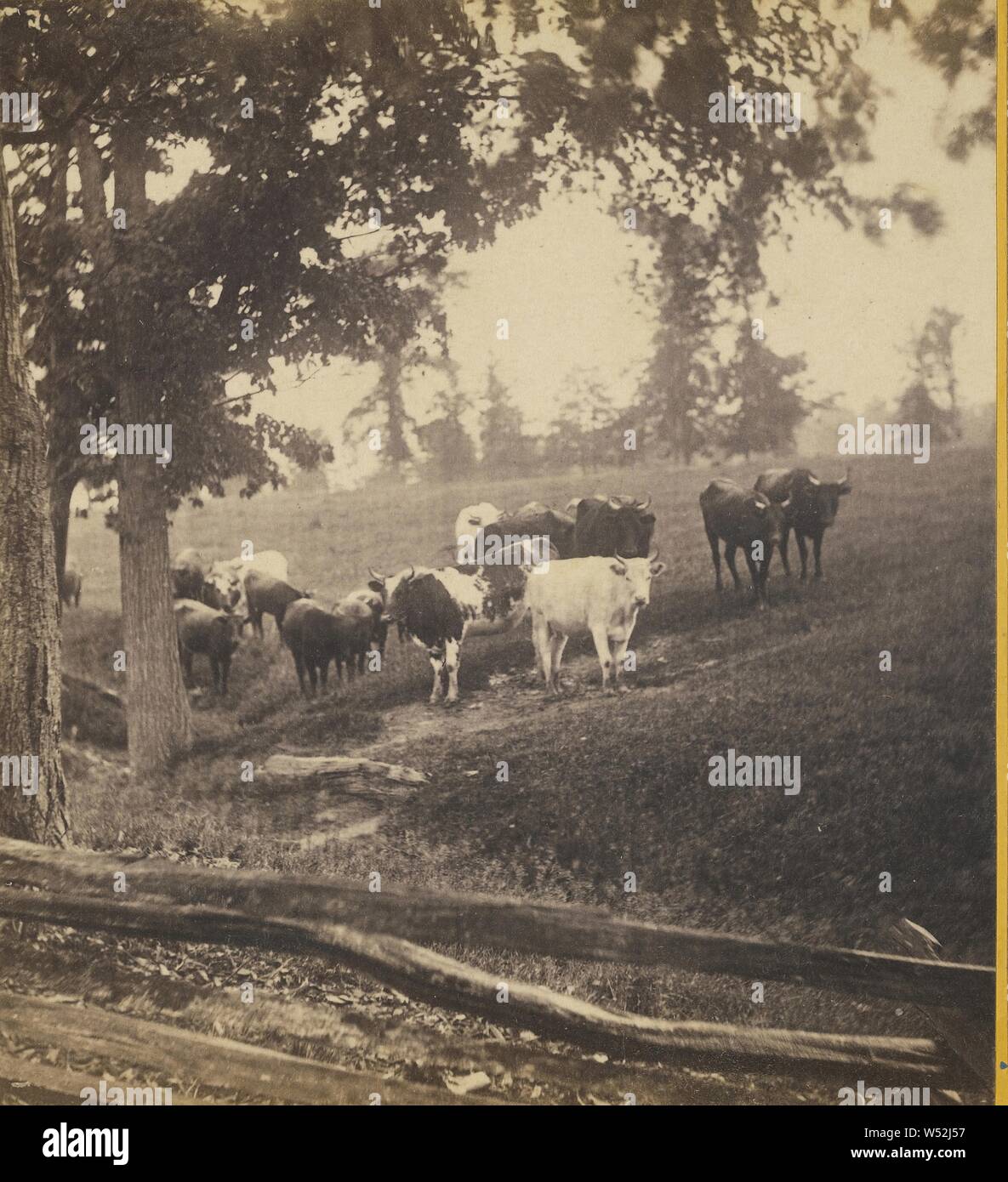 Strandgaard hi-res stock photography and images - Alamy