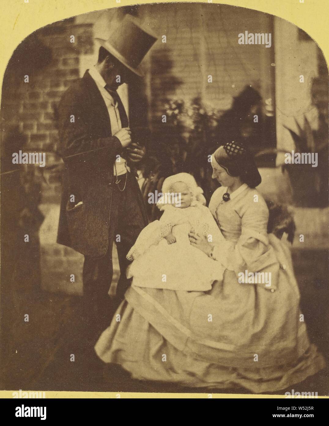 Rosalie m flower hi-res stock photography and images - Alamy