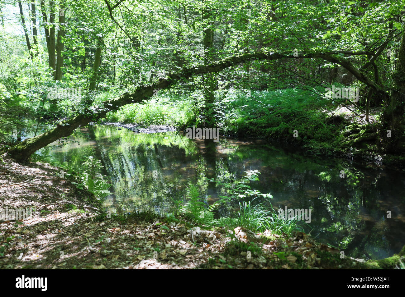 River Wupper / Wipper near Marienheide Stock Photo - Alamy