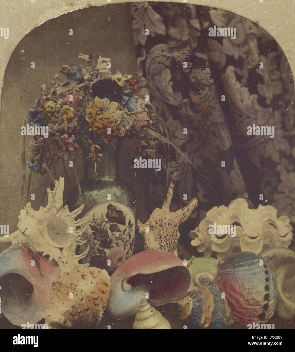 Still life with shells, Unknown, about 1865, Hand-colored albumen ...