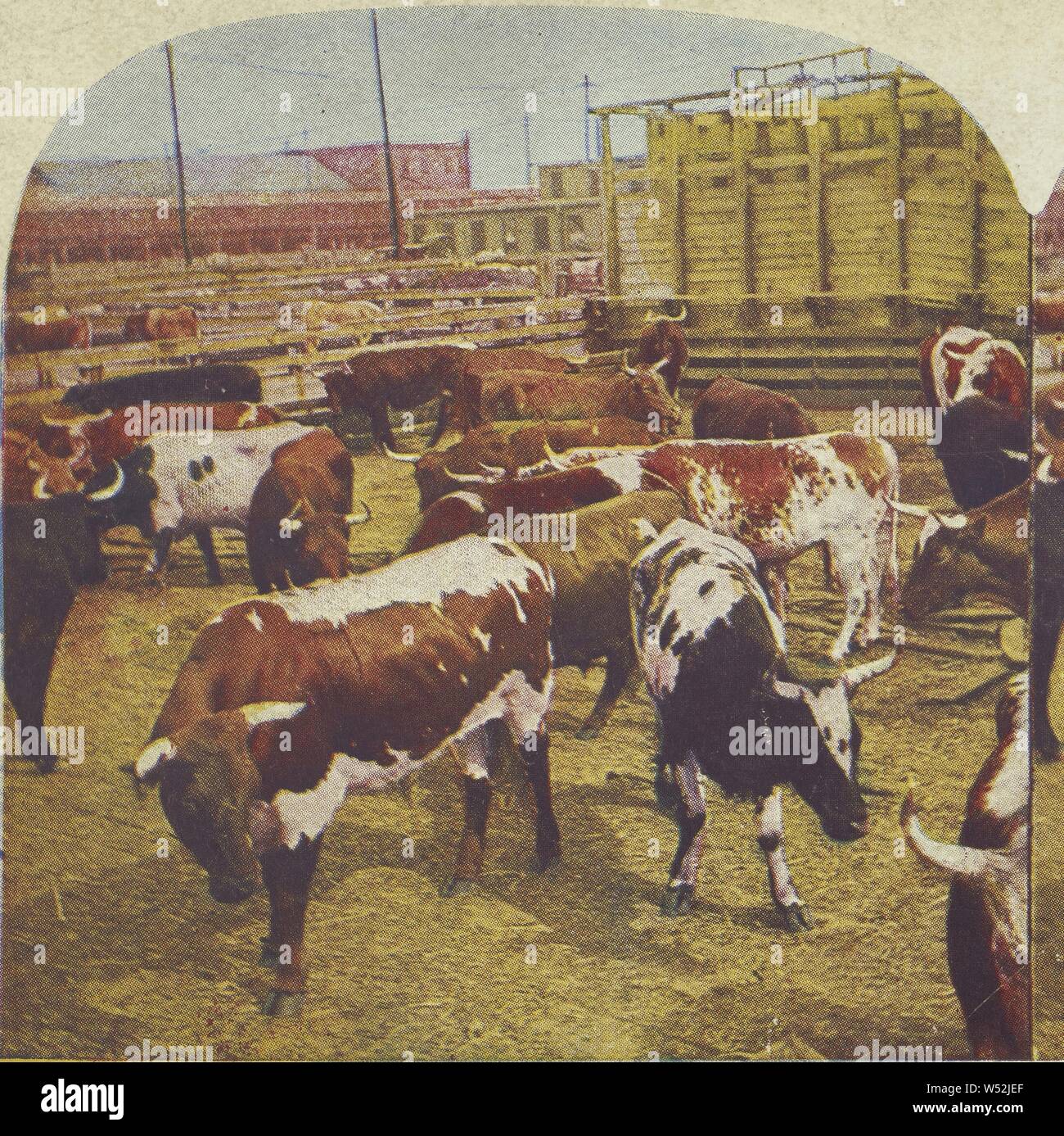 Stock yards hi-res stock photography and images - Alamy