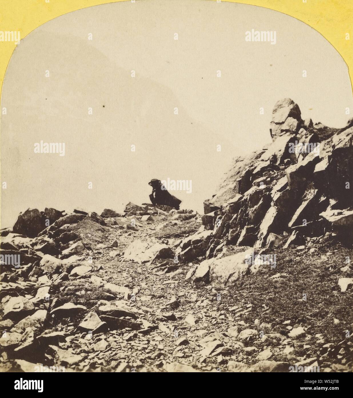 Sty head hi-res stock photography and images - Alamy