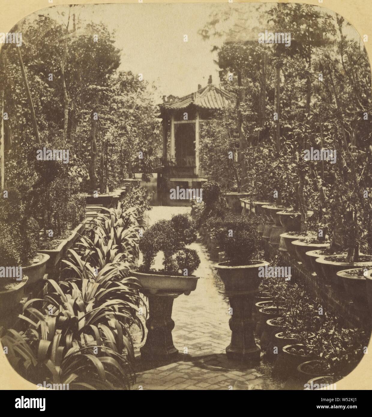 Canton. General View of How Qua's Garden, with Plants Cut to Resemble ...