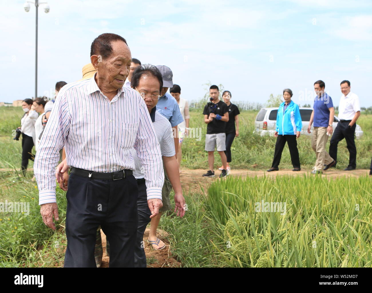 --FILE--Chinese scientist Yuan Longping, known as the Father of Hybrid ...