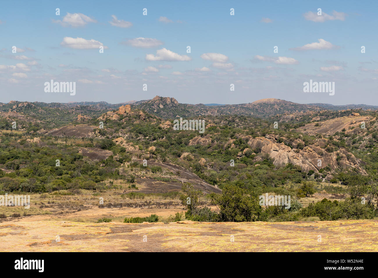 African bush scene hi-res stock photography and images - Alamy